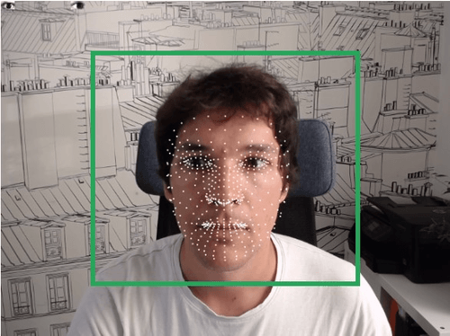 Facial Action Coding System - FACS